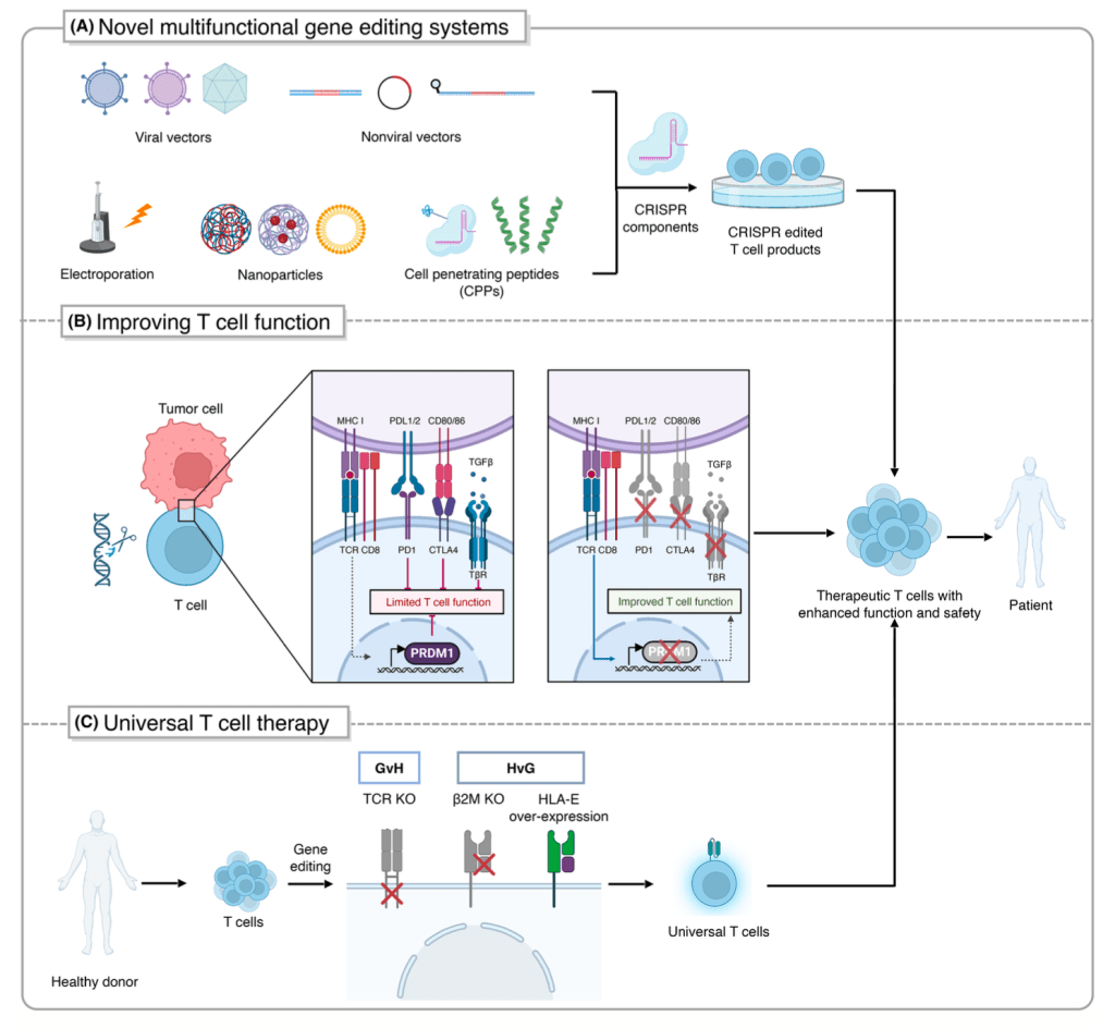 Sidi Chen Lab – Genome editing and immunotherapy