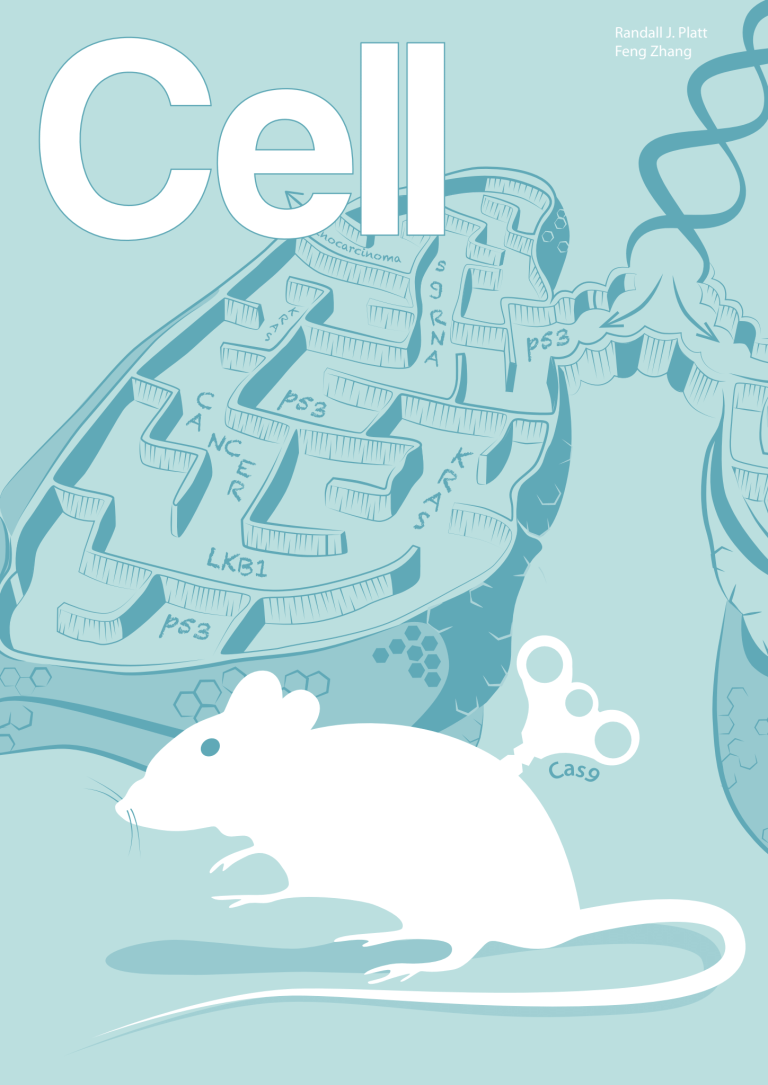 Publications – Sidi Chen Lab