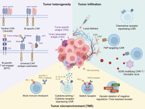 Sidi Chen Lab – Genome editing and immunotherapy