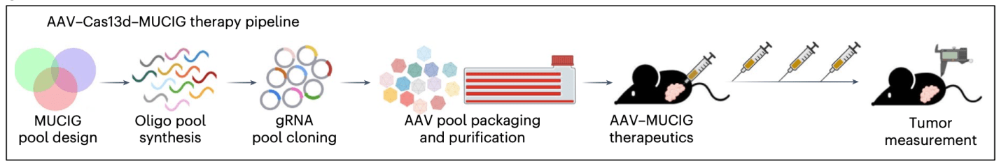 Sidi Chen Lab – Genome editing and immunotherapy