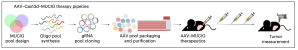 Sidi Chen Lab – Genome editing and immunotherapy