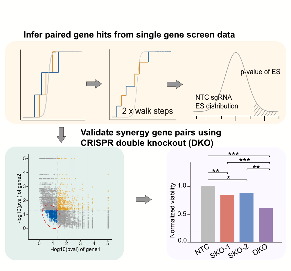 Sidi Chen Lab – Genome editing and immunotherapy