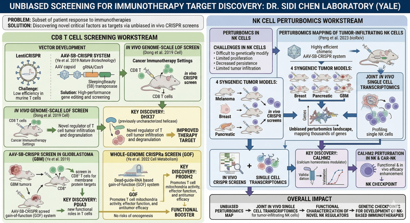 Research – Sidi Chen Lab