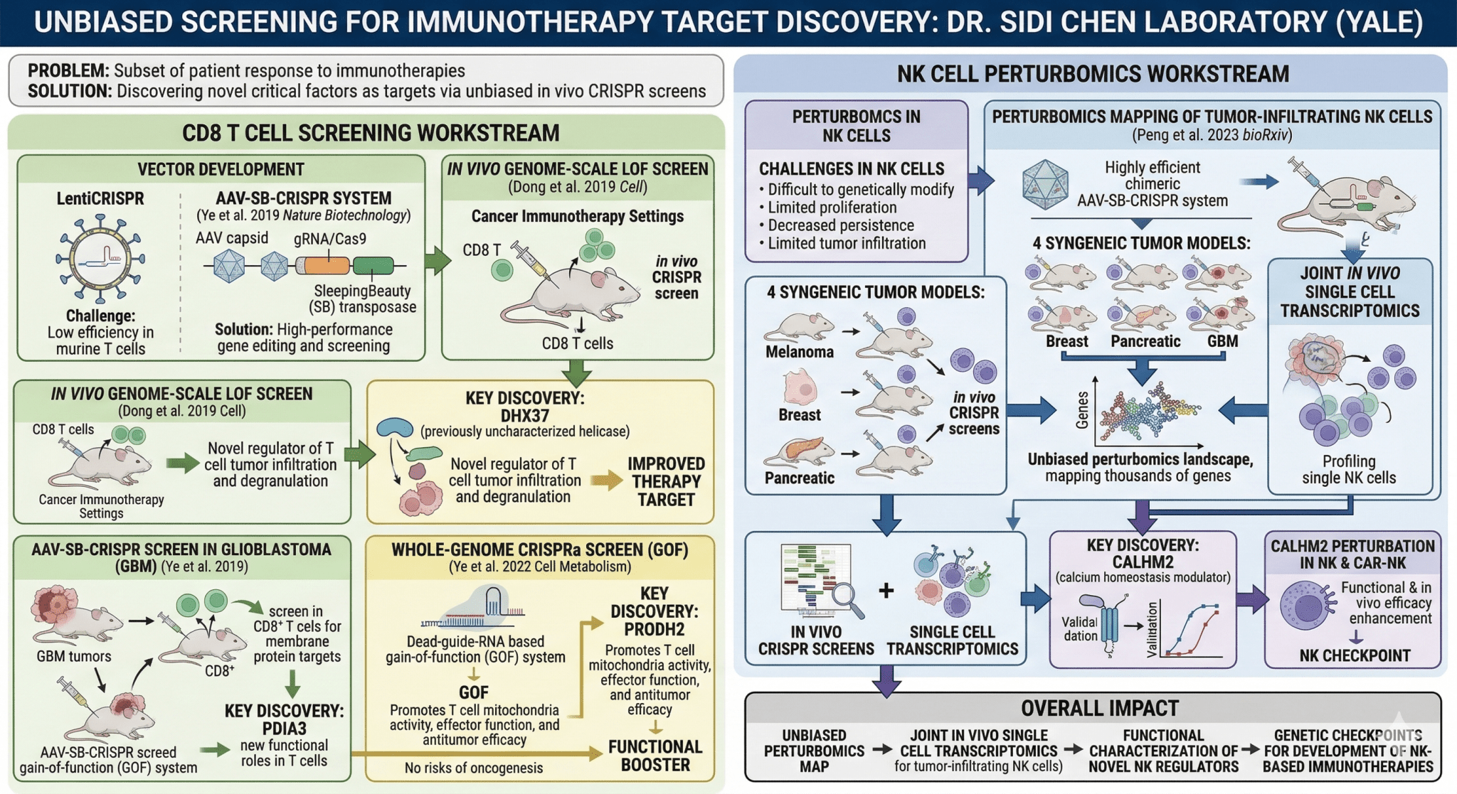 Research – Sidi Chen Lab
